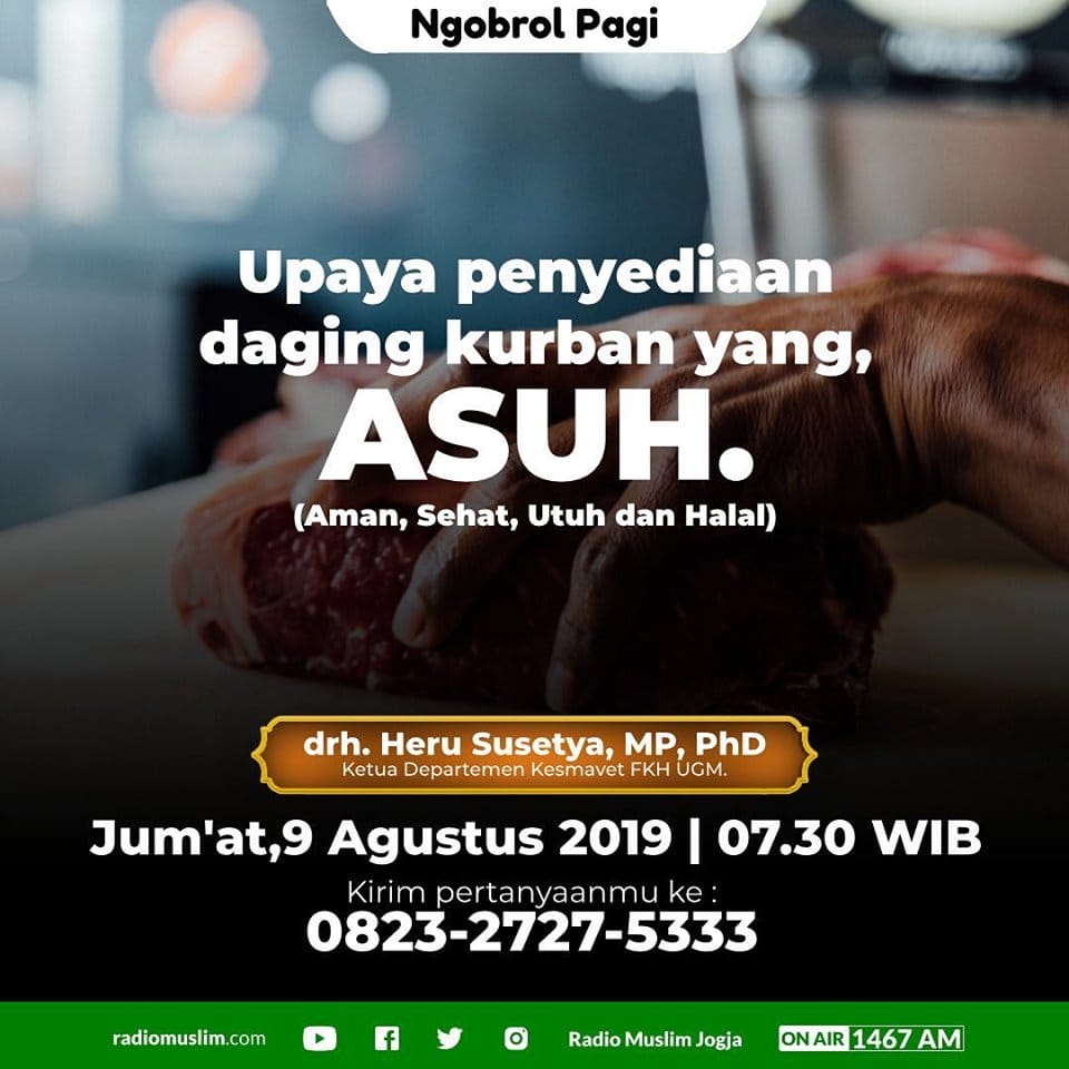Spesial Bulan Dzulhijjah - Upaya Menyediakan Daging Quran yang ASUH ...